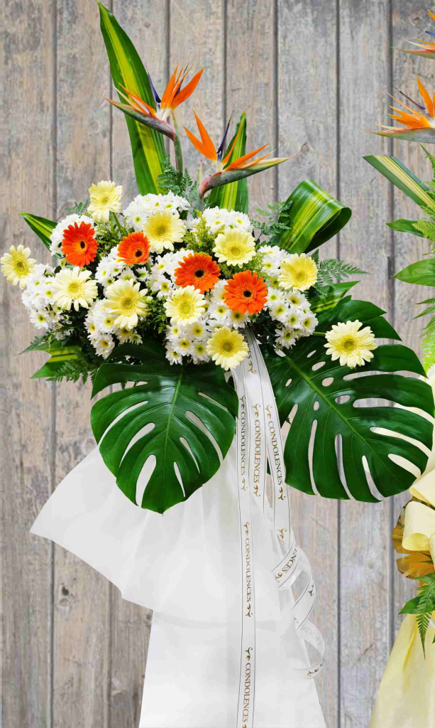 DT14 Rapport – The Perfect Gift